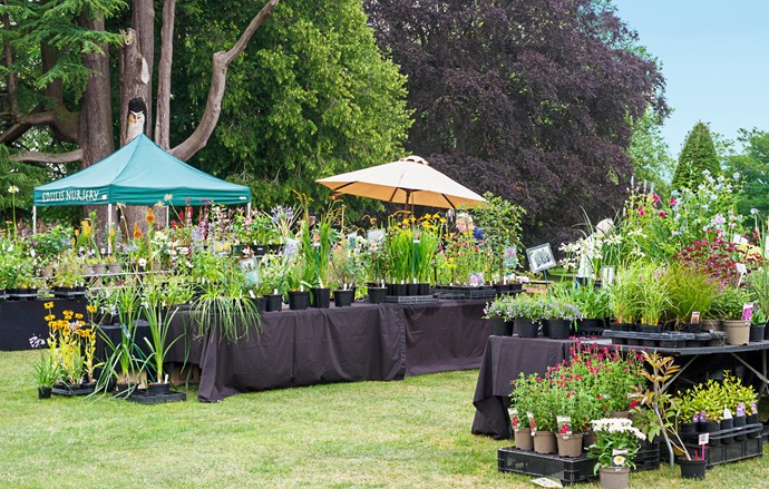 Our Nurseries - Rare Plant Fair
